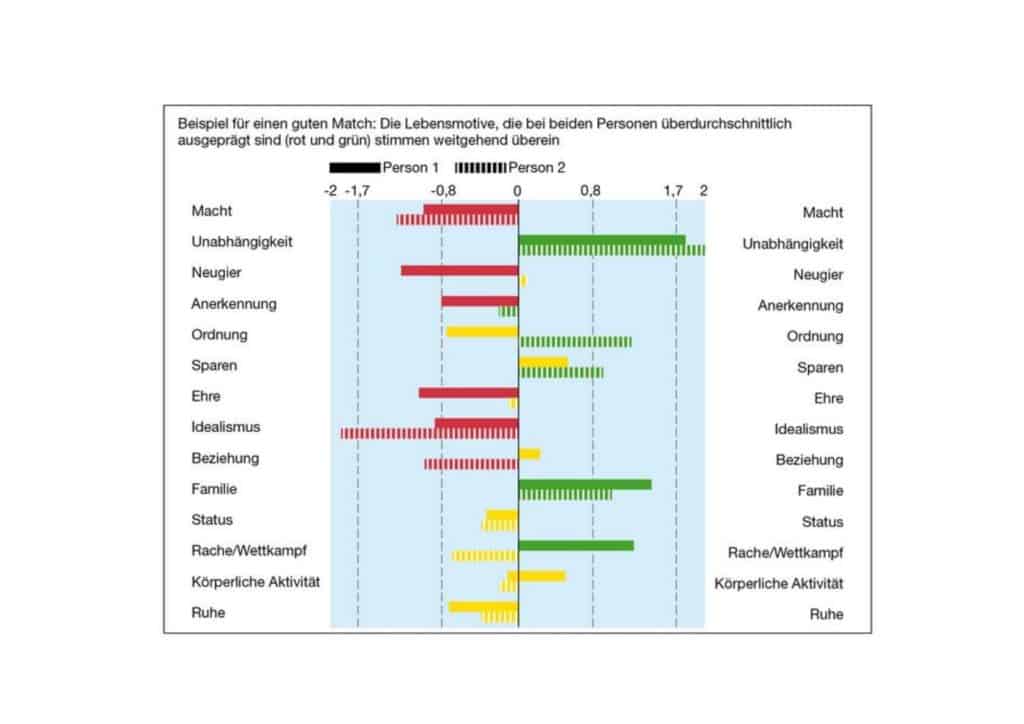 Reiss Profil Test - Werte testen